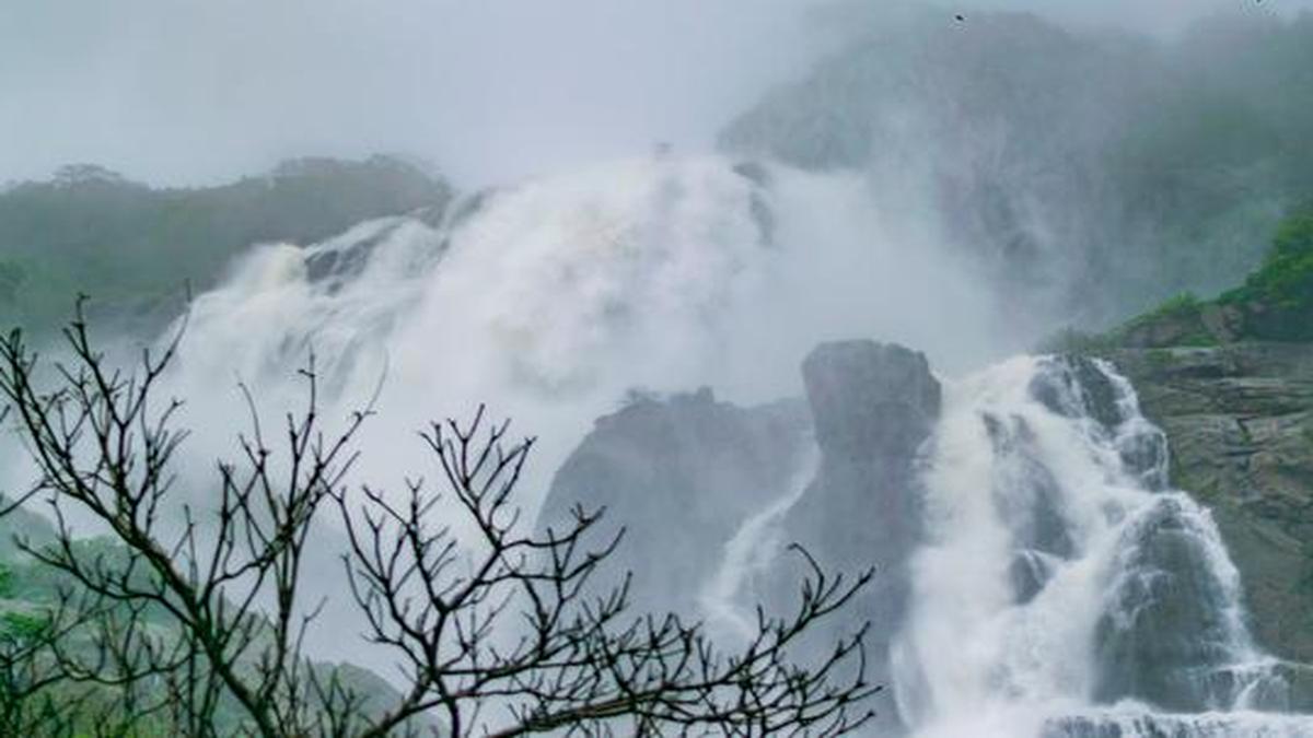 Beyond beaches- the hidden gems of rural Goa - The Hindu