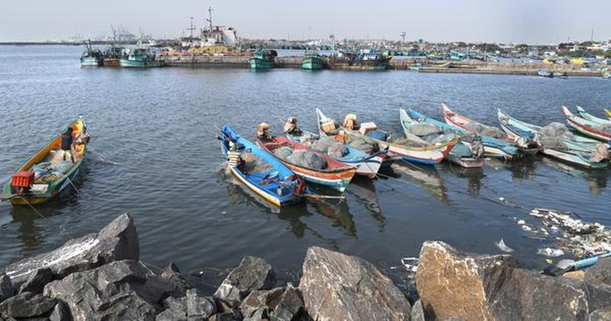 N4 Beach in Kasimedu: a safe harbour - The Hindu