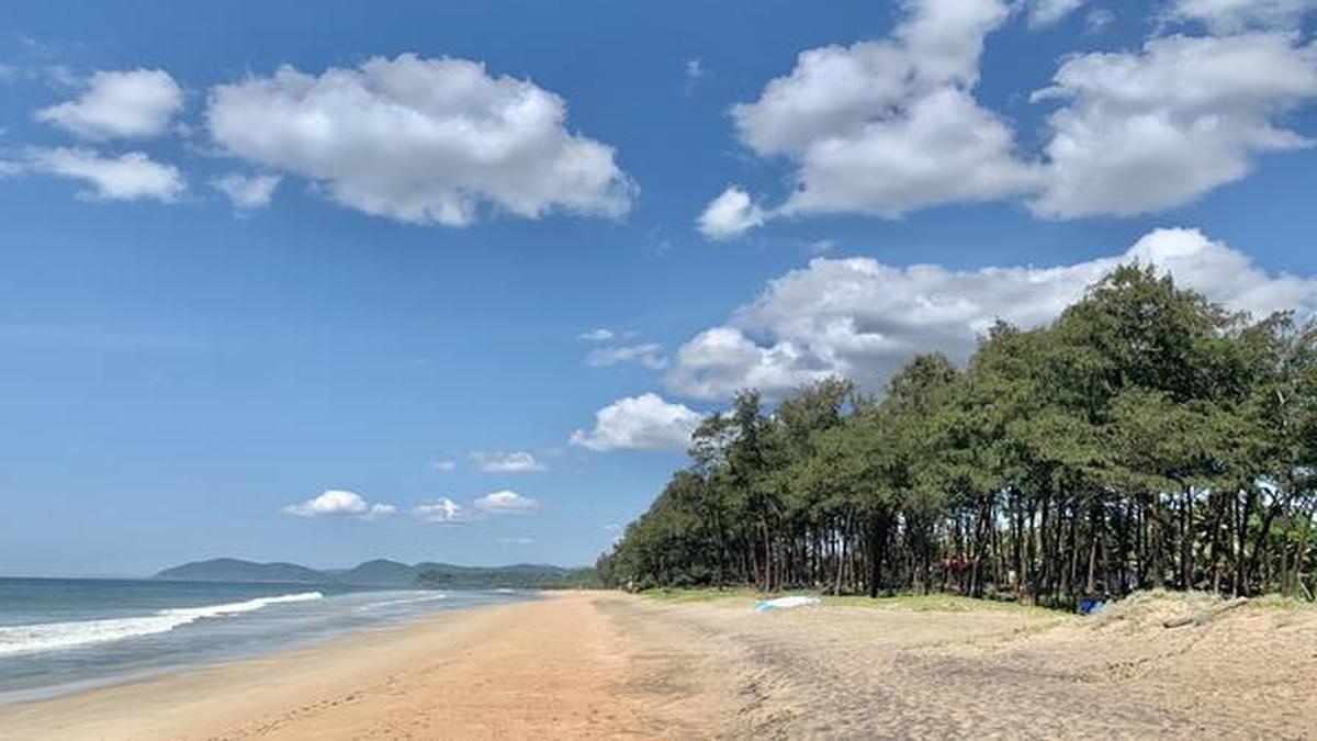 South Goa: the susegad life you didn’t know about - The Hindu