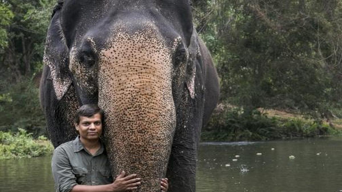 The bond between elephants and their mahouts - The Hindu