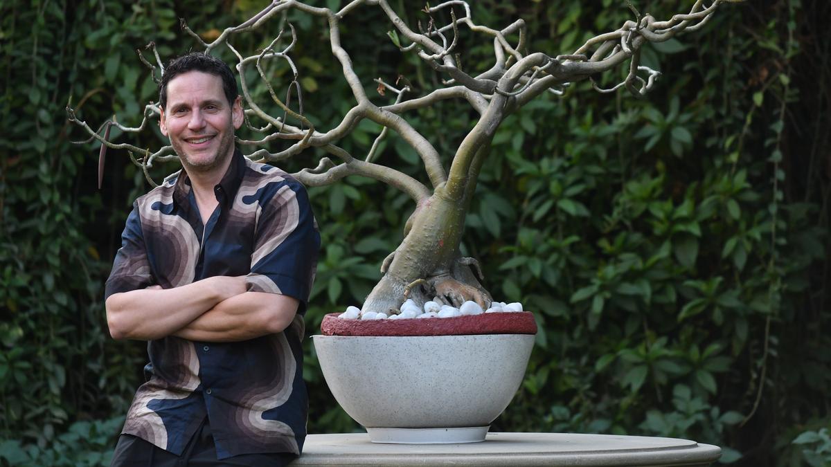 ‘Indian design is having a contemporary renaissance’: David Alhadeff ...