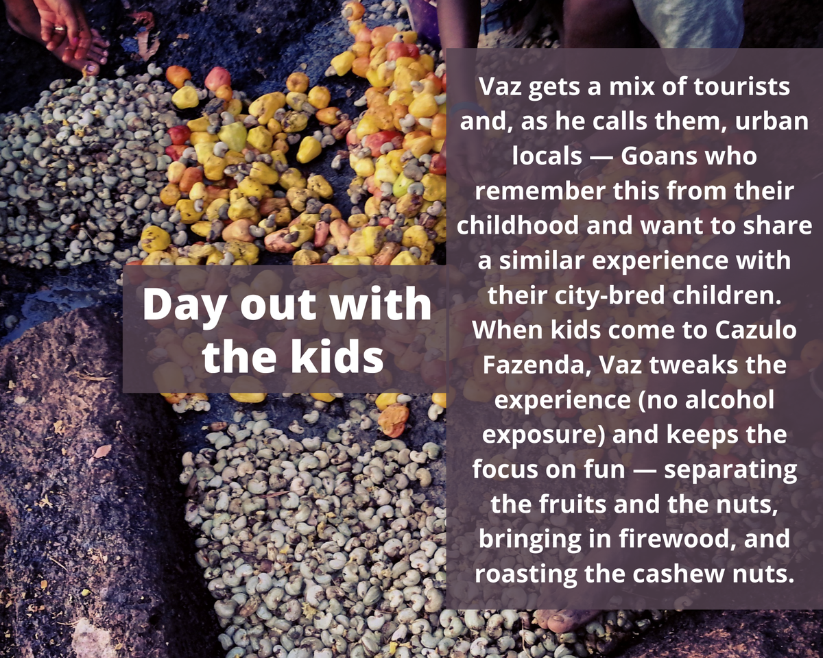 How to enjoy feni season right now in Goa - The Hindu