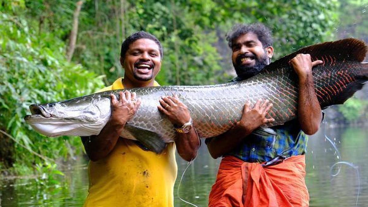 Lake Fish Kerala