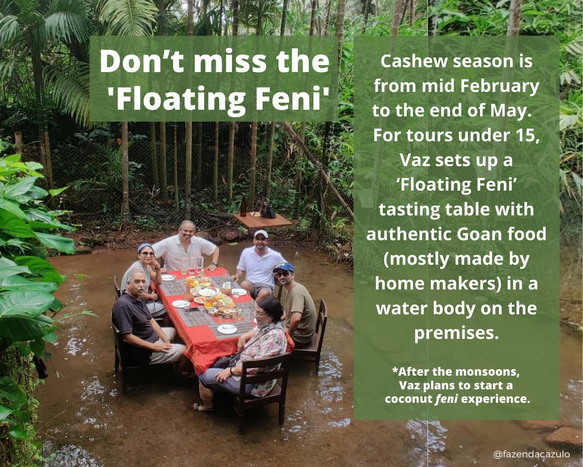 How to enjoy feni season right now in Goa - The Hindu