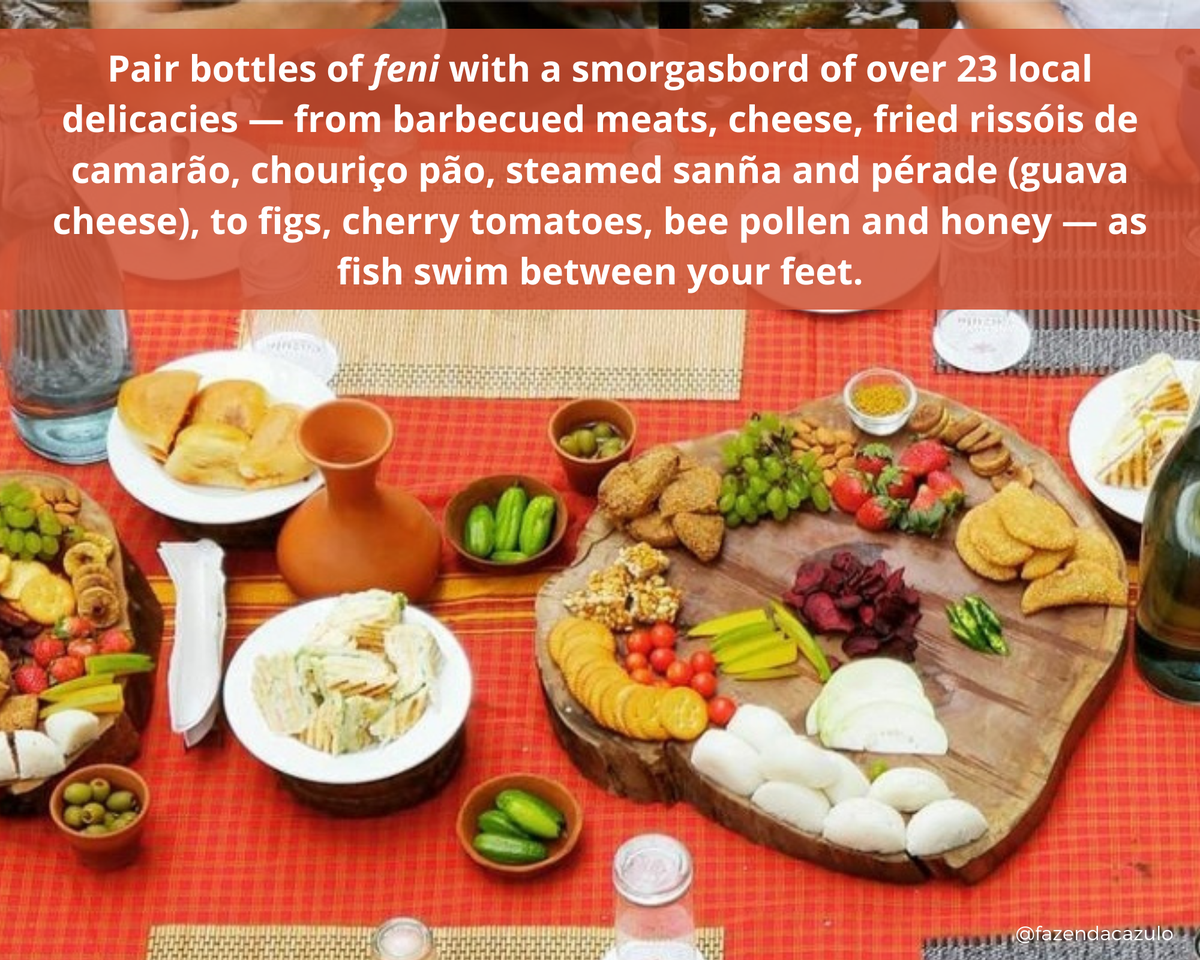 How to enjoy feni season right now in Goa - The Hindu