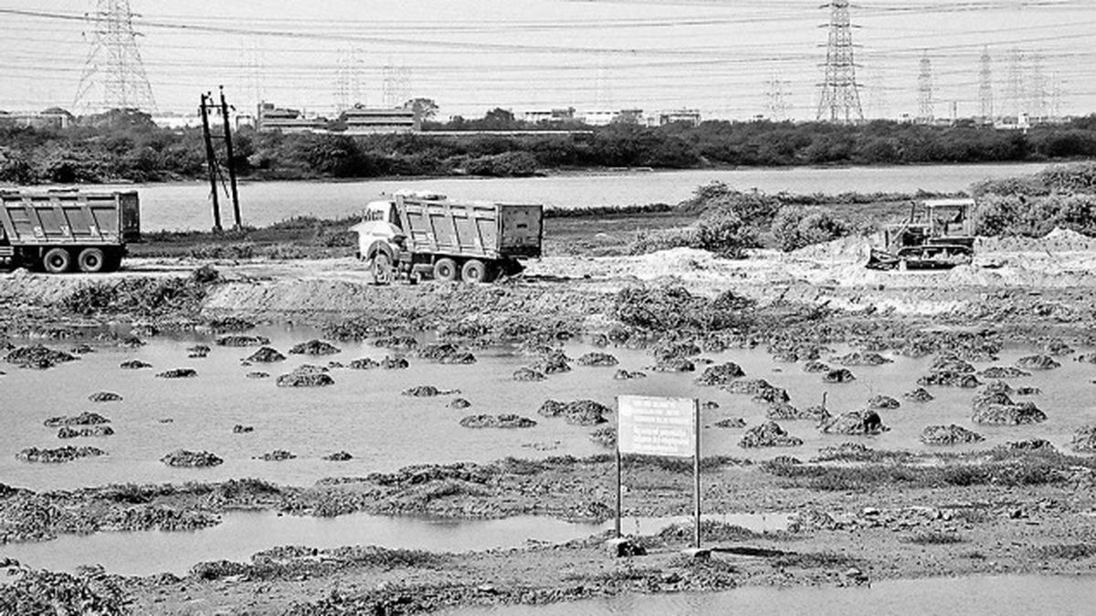 Ennore fishermen protest ‘destruction of mangroves’ - The Hindu