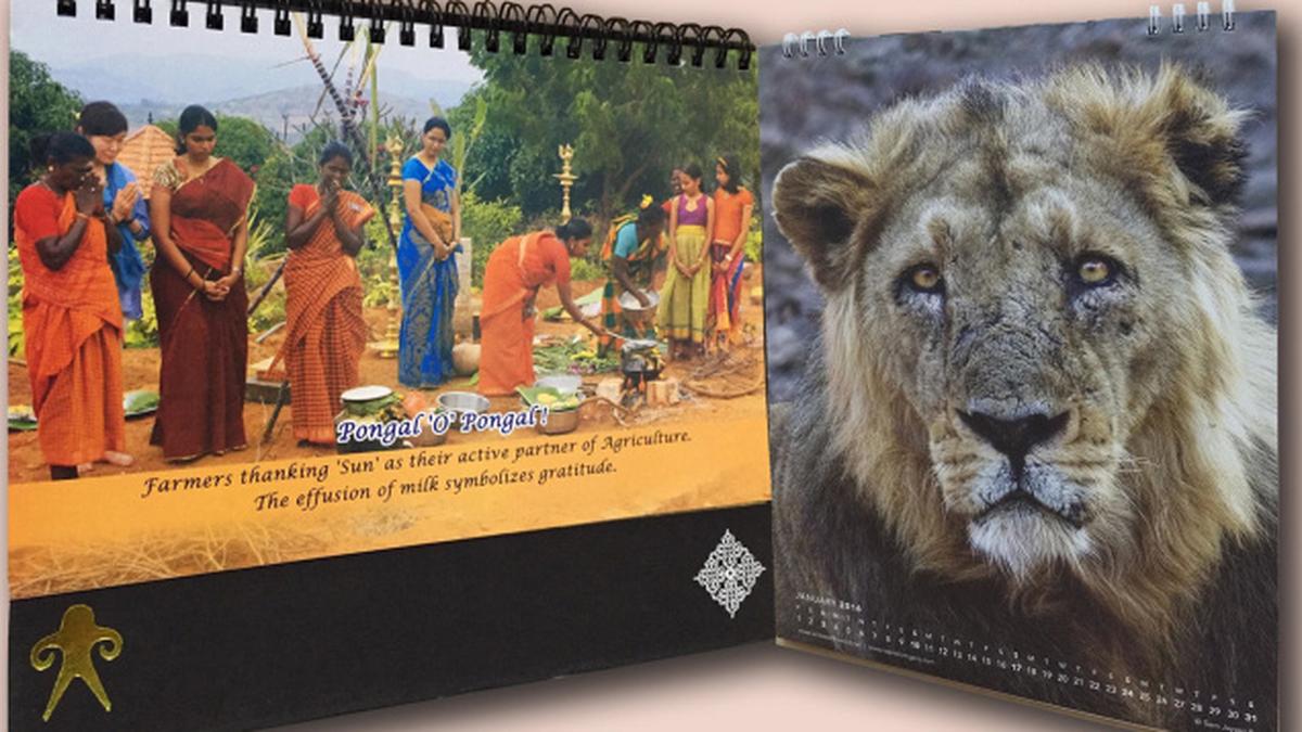 Creative calendars with a purpose - The Hindu