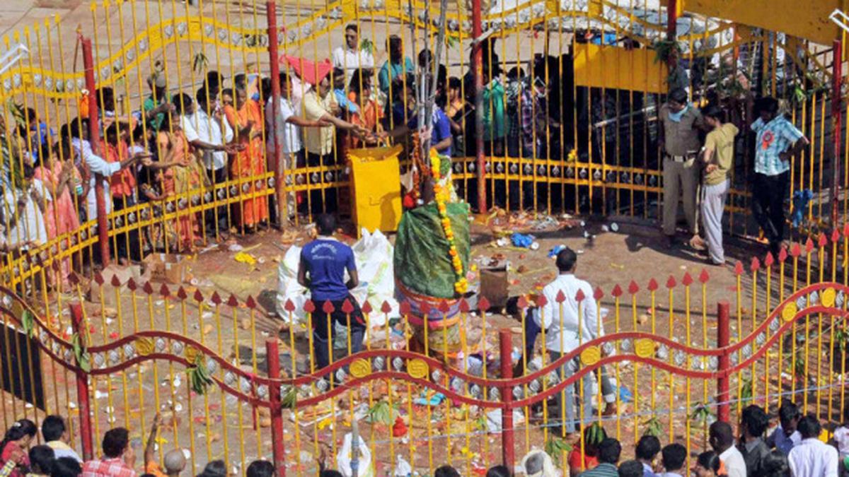 Two months ahead of jatara, Medaram comes to life - The Hindu
