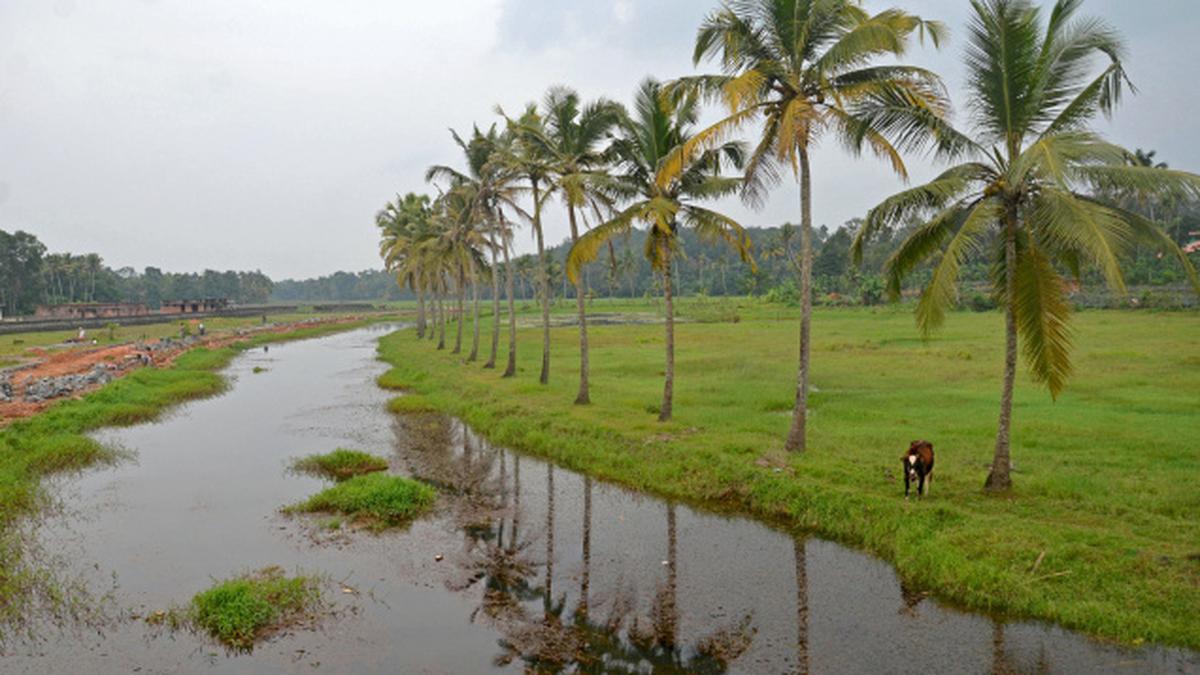 Sub-collector takes stock of Kadambrayar pollution - The Hindu