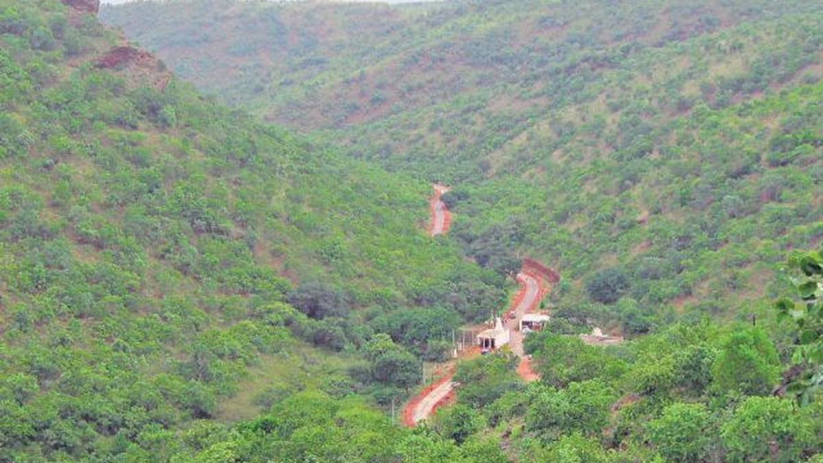 Kappatagudda forest declared conservation reserve - The Hindu