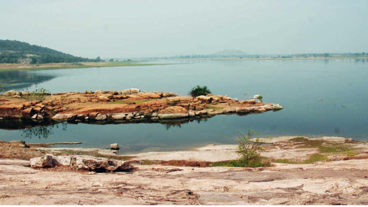 Kakatiya-era tank holds the key to irrigation - The Hindu