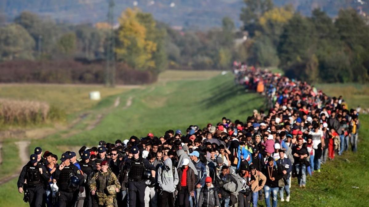 Migrating to a more empathetic reality - The Hindu