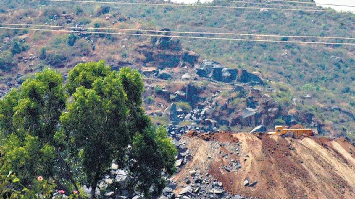 Mining lobby eyeing ESZs rich with wildlife - The Hindu