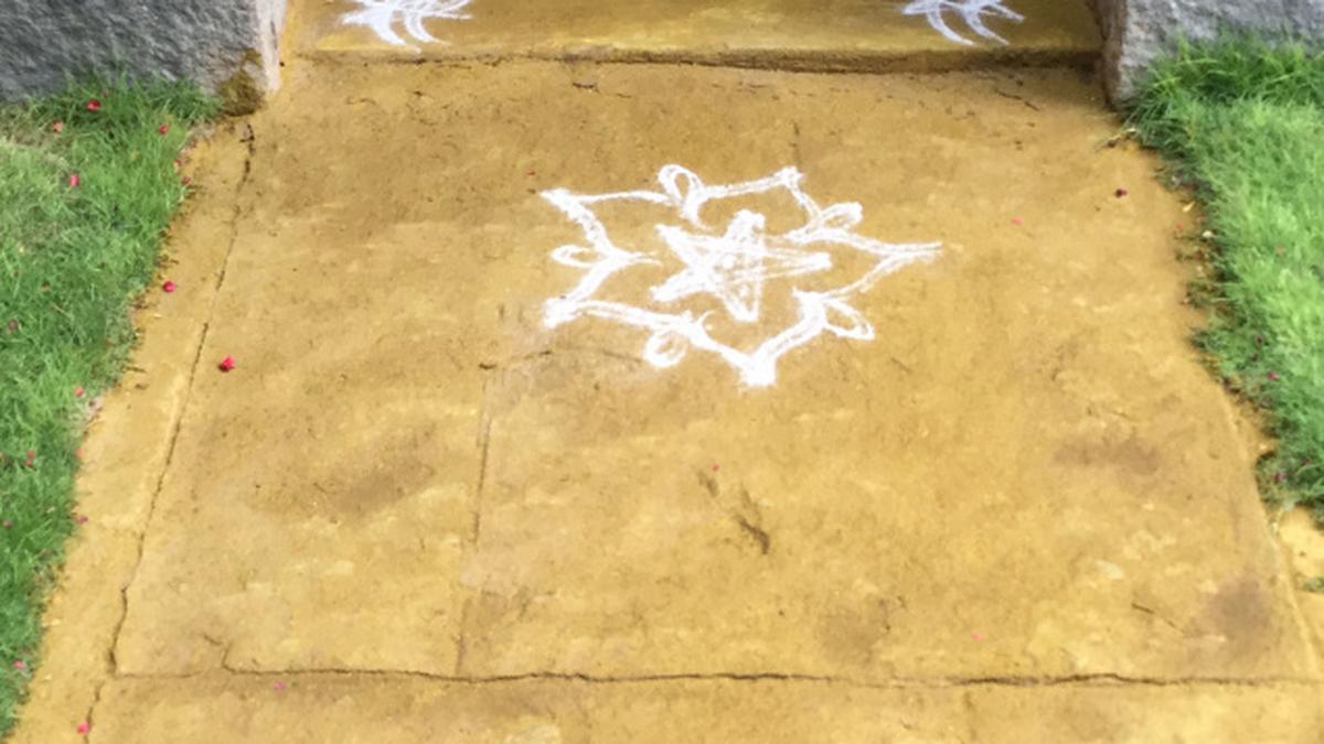 Cleaning the natural way - The Hindu