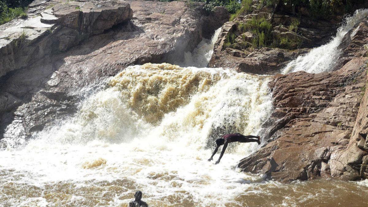 Rain brings abundant flow to Amirthi Falls - The Hindu