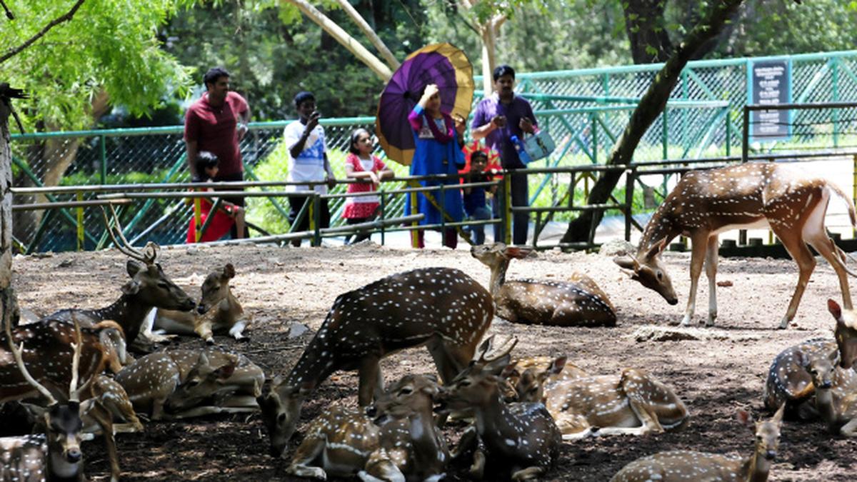 Kids’ day out - The Hindu