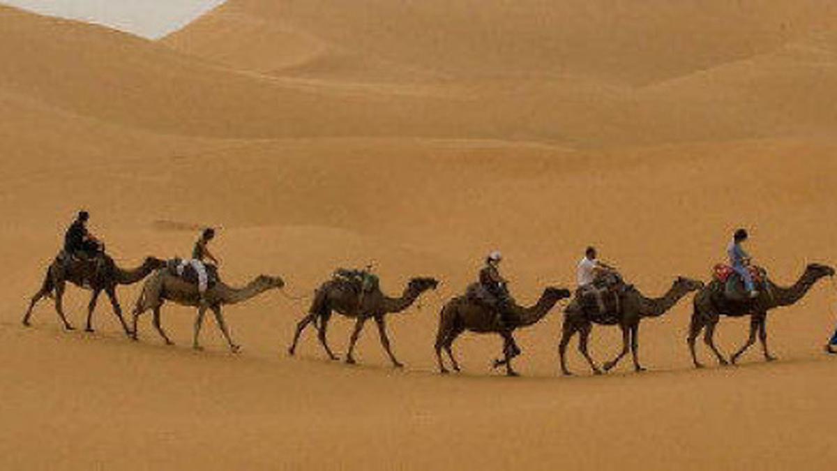 Western Sahara once had a large river network - The Hindu