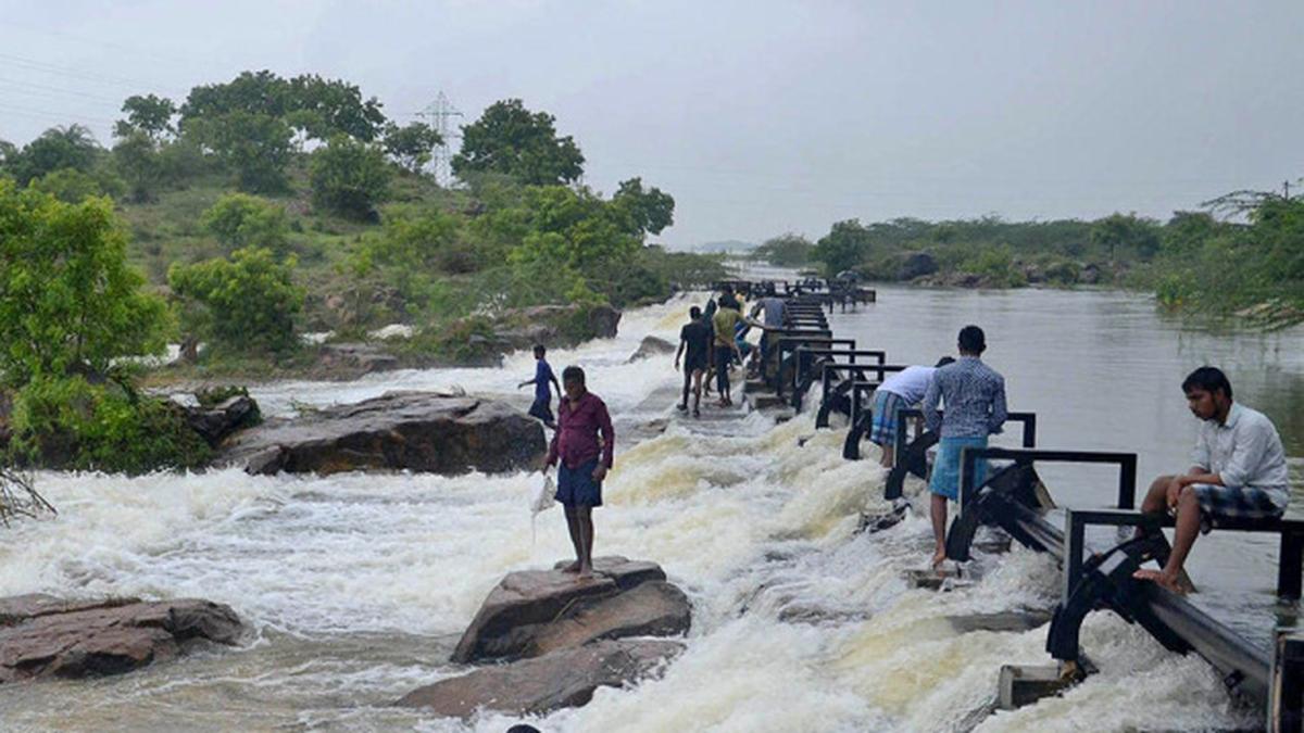 Youngsters flock to Madurantakam Lake - The Hindu