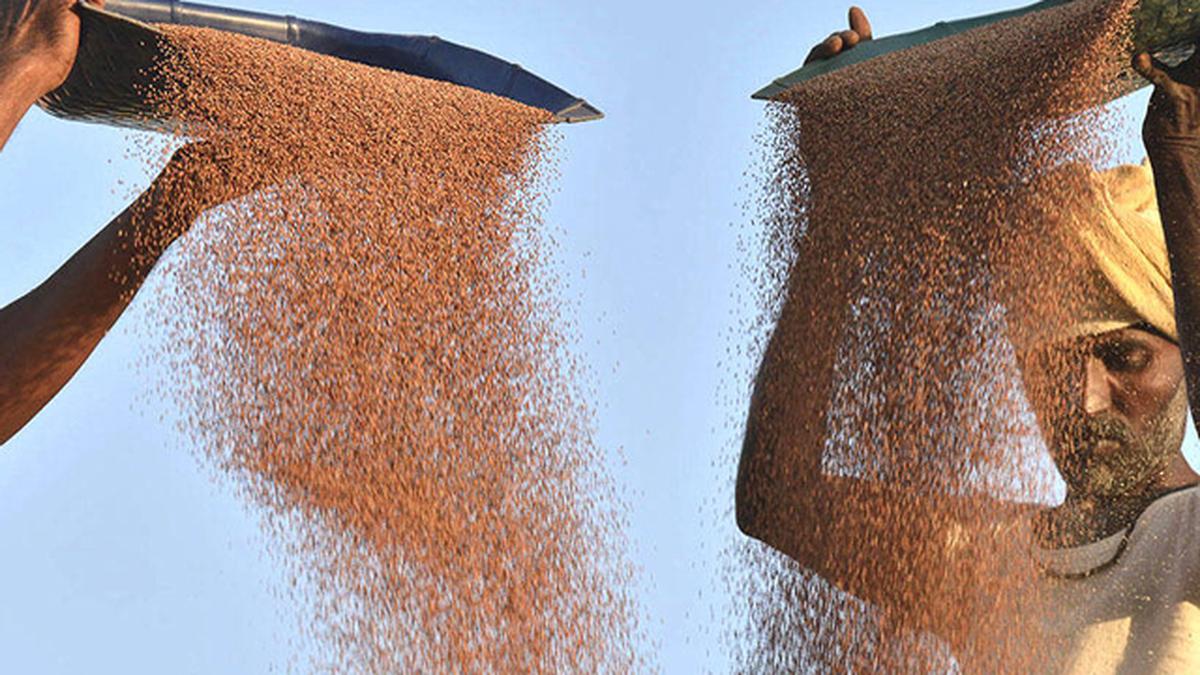 ICRISAT introduces finger millet as mandate crop - The Hindu