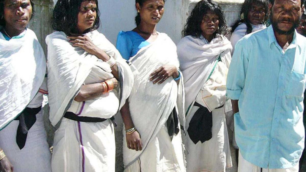 AnSI study on six tribal communities in the Nilgiris - The Hindu