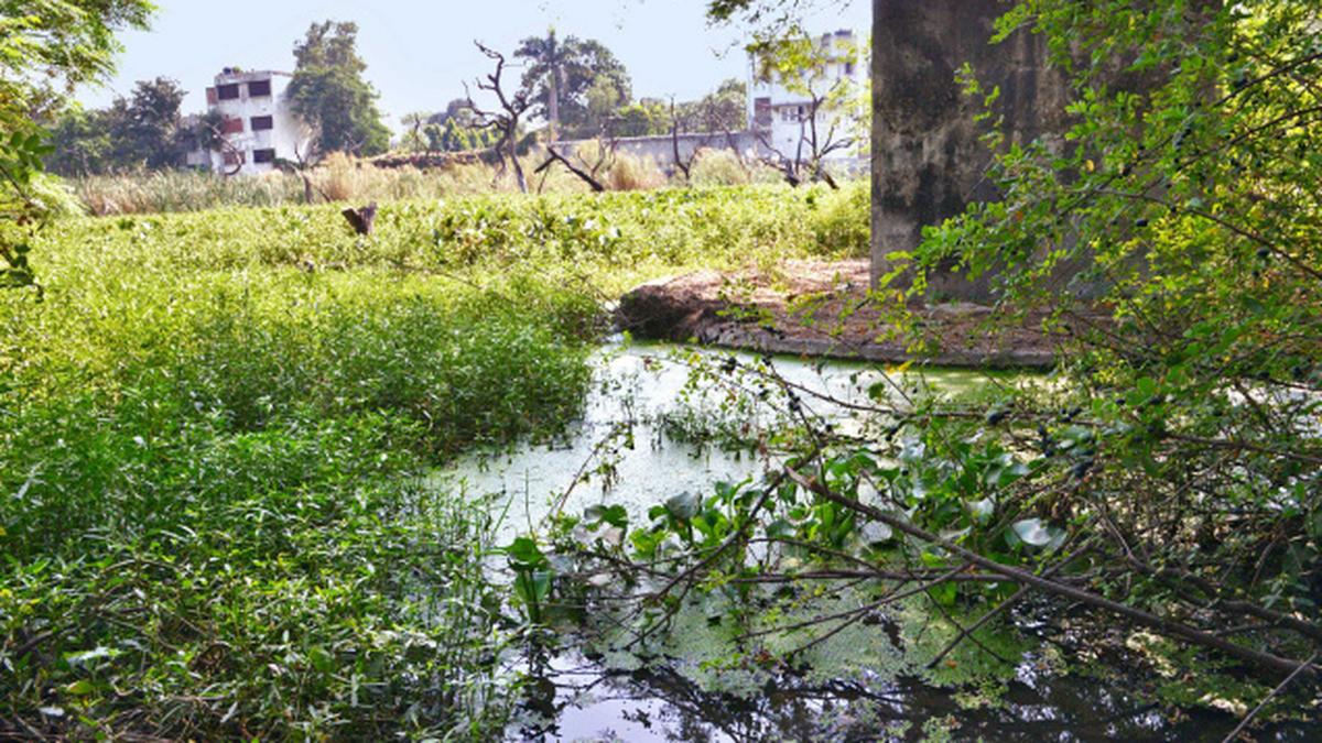 Kalindi Colony swamped - The Hindu