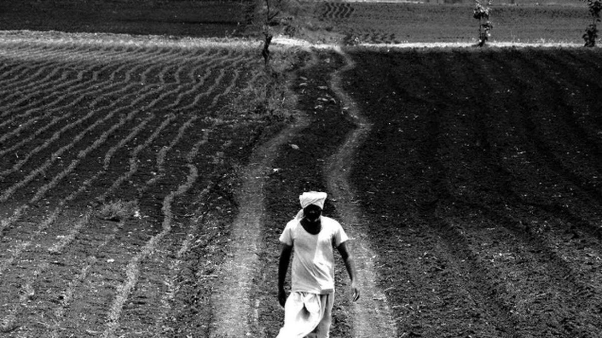 Gaali Beeja chosen for MAMI fest - The Hindu