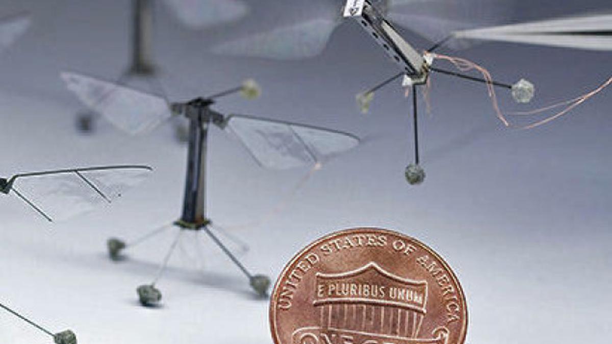 RoboBee that can dive, swim and fly - The Hindu