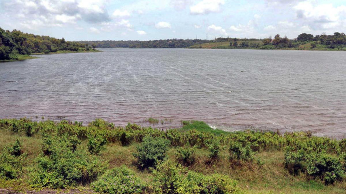 Sasthamkotta lake in peril - The Hindu