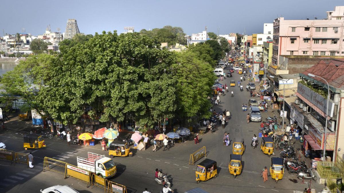 Mada Streets to become pedestrian-friendly soon - The Hindu