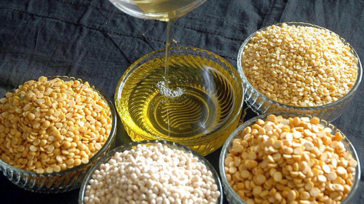 Hyderabad scientists synthesise novel low-calorie fats - The Hindu