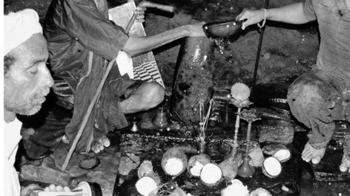 An unnoticed gem in deep forest - The Hindu