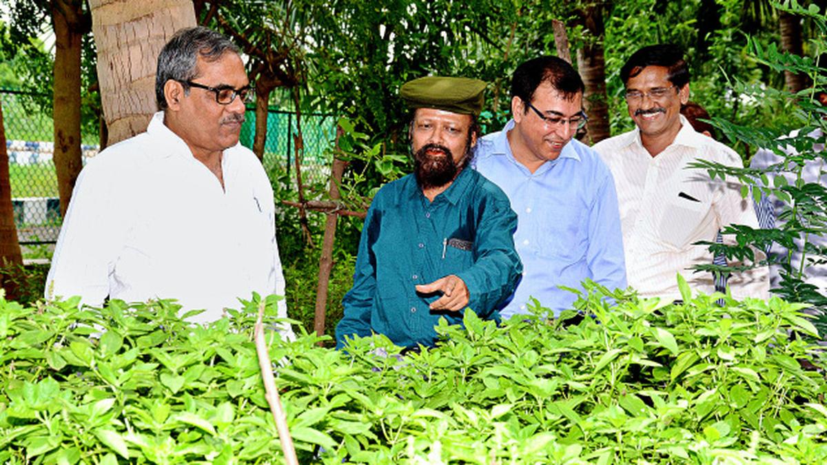 ONGC Rajahmundry develops herbal garden - The Hindu