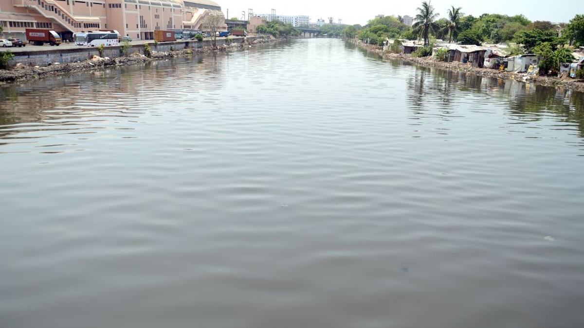 Draft master plan for Cooum restoration to be ready by Sept. - The Hindu