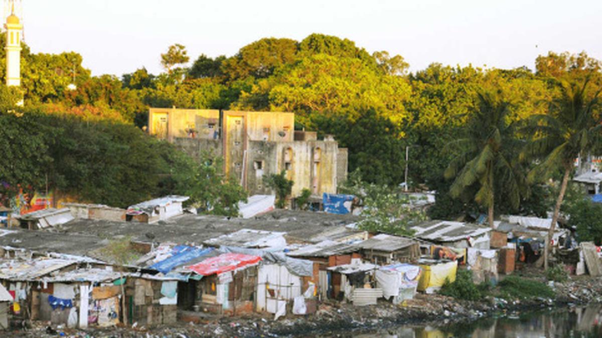 Slums to make way for parks in Chennai - The Hindu