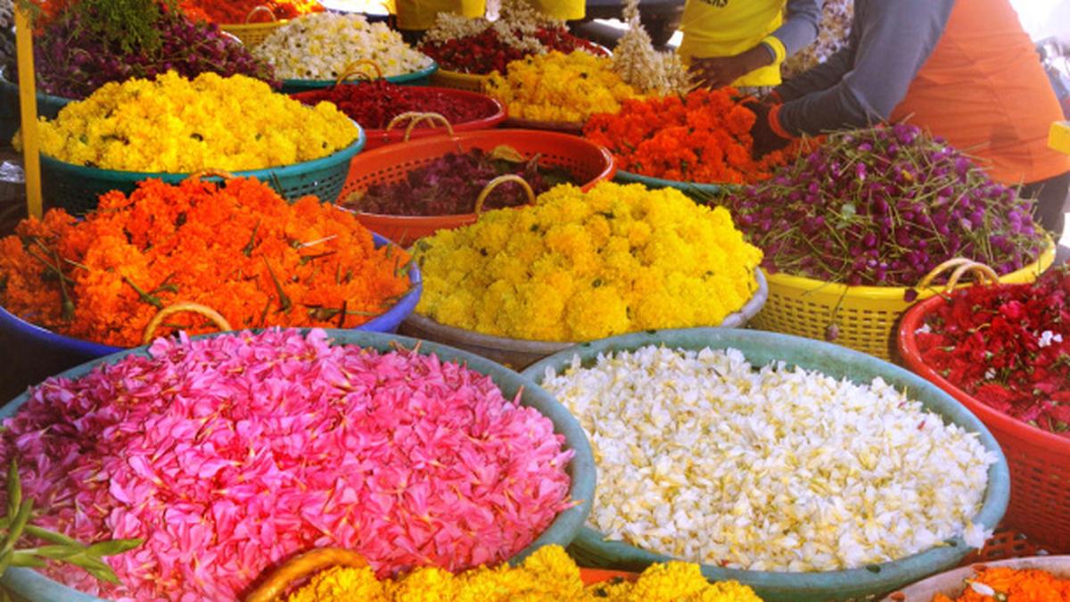 Blooms reflect changing Onam trends - The Hindu