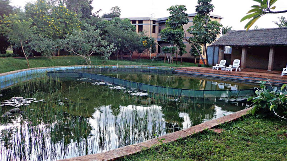 Every home can be a resort - The Hindu