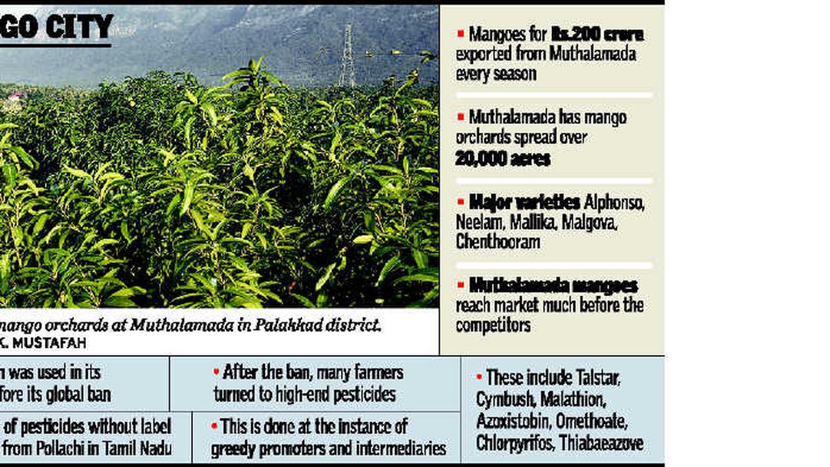 Muthalamada going organic way - The Hindu