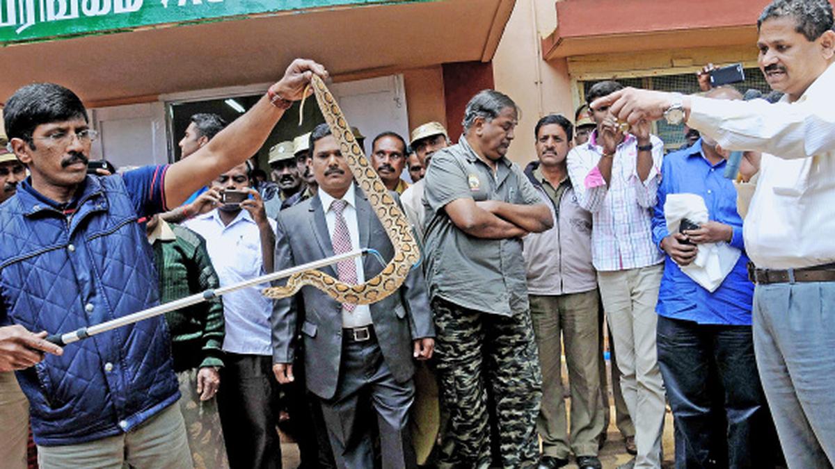 Awareness programme on snakes - The Hindu