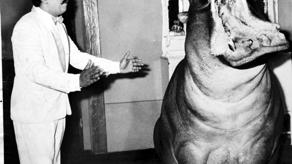 Made a ‘Major’ impact - The Hindu