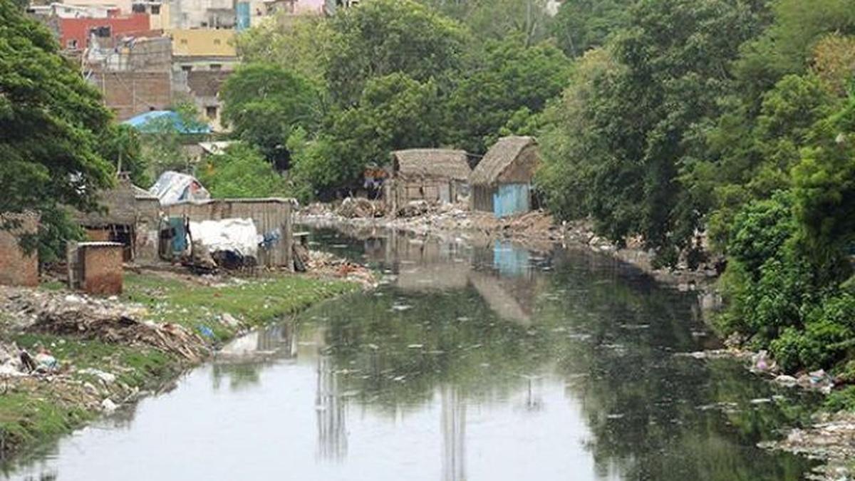 Cooum restoration: Scale of displacement could be higher - The Hindu