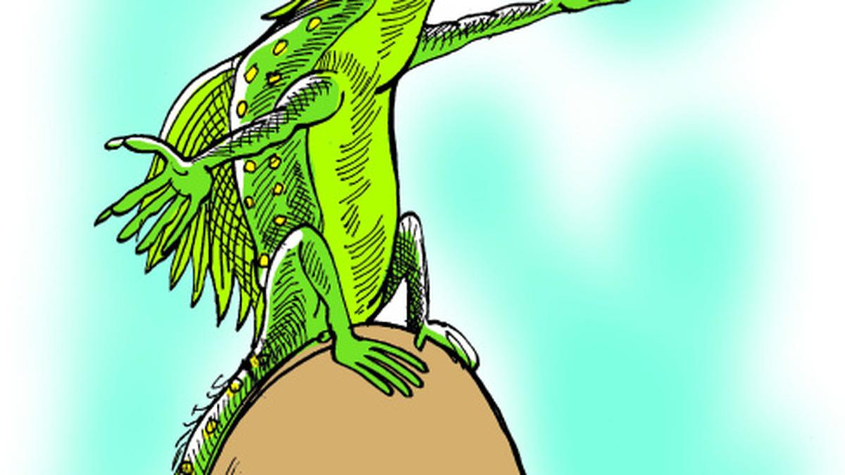 Basilisk’s hat - The Hindu