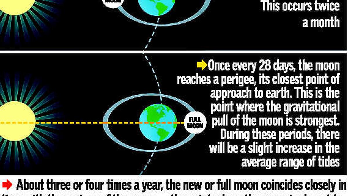 Spring tide, swell waves caused tidal flooding - The Hindu