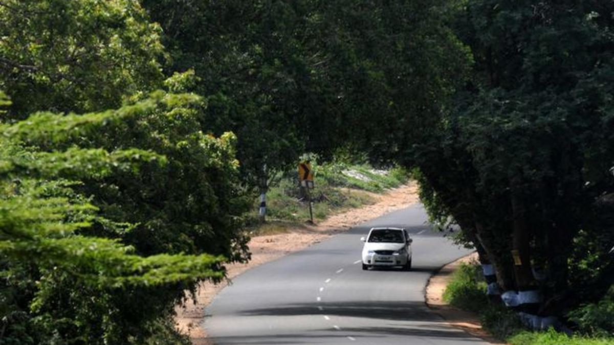 DPR for widening Pollachi Road - The Hindu