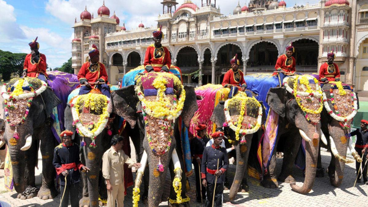 Dasara elephants arrive at Mysuru palace - The Hindu