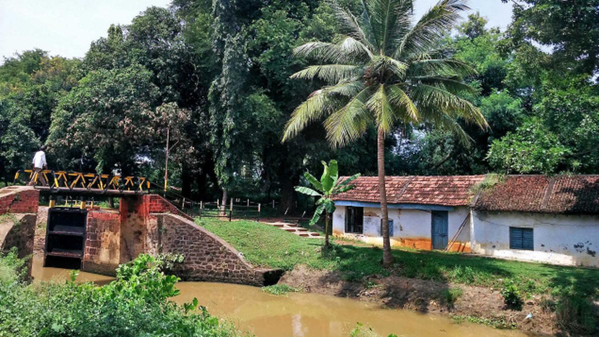 Island villages in Godavari to be tourist attractions - The Hindu