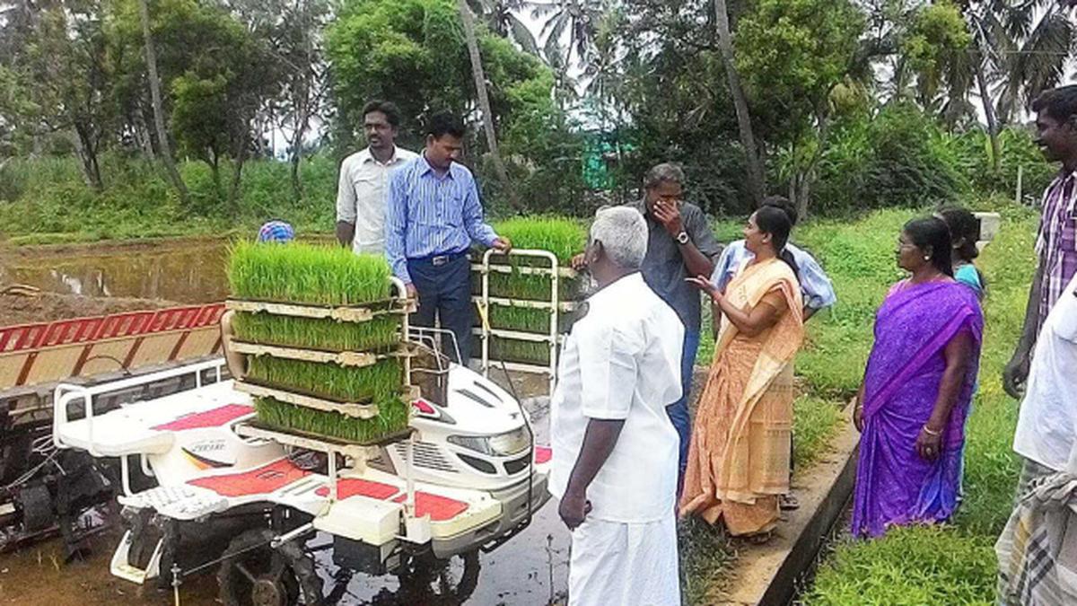 Paddy transplanting machine raises returns - The Hindu