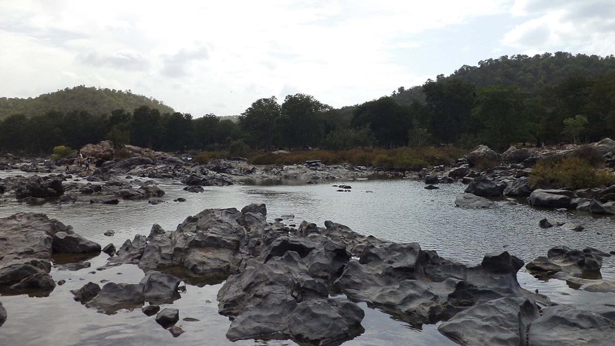 Three from Bengaluru drowned at Muthathi - The Hindu