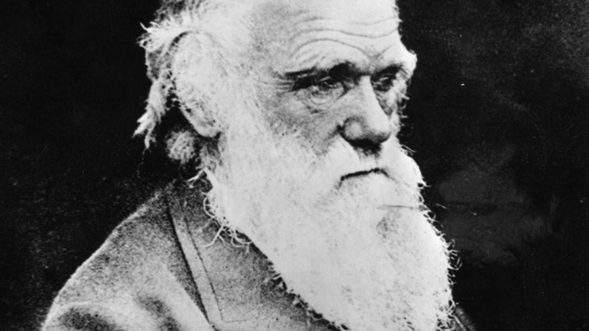 Darwin’s confession gets top dollar - The Hindu