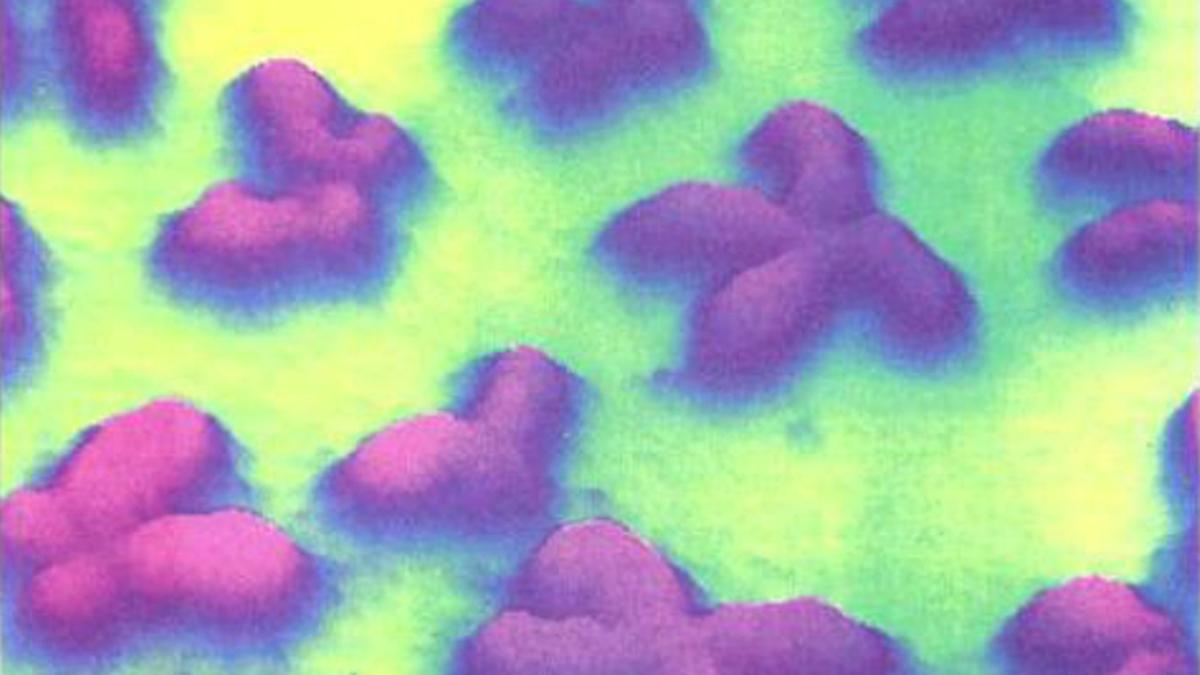 Prodigies and autistic people share genetic similarity, finds study ...