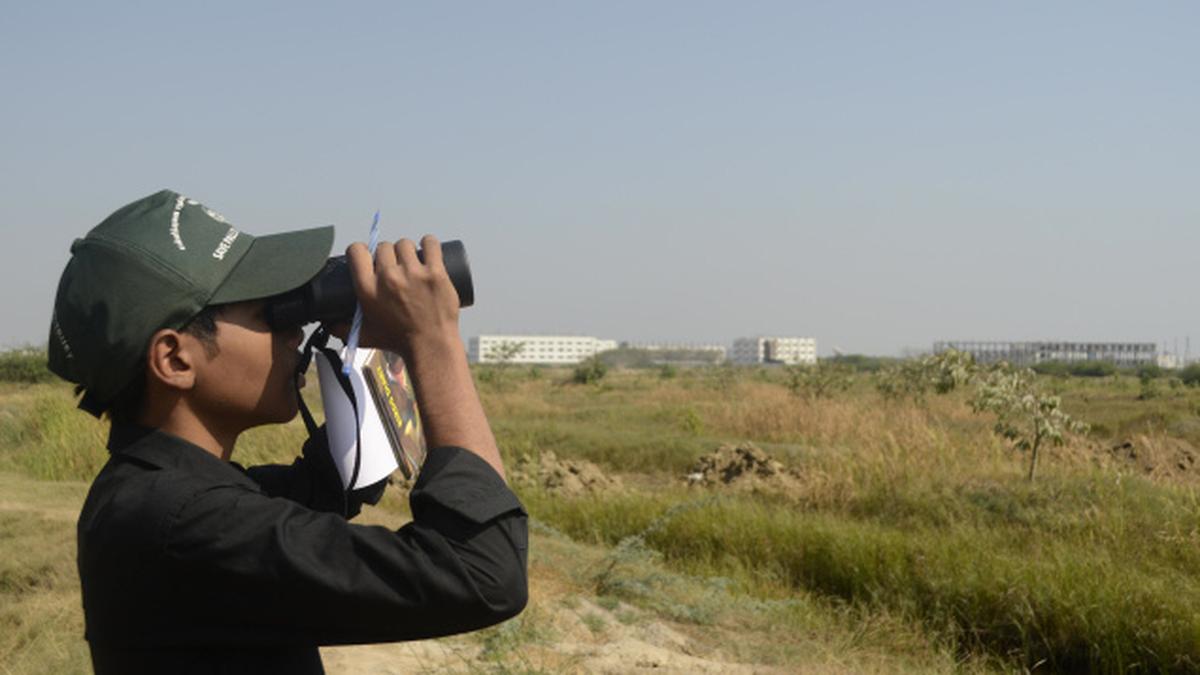 Watch like a hawk - The Hindu